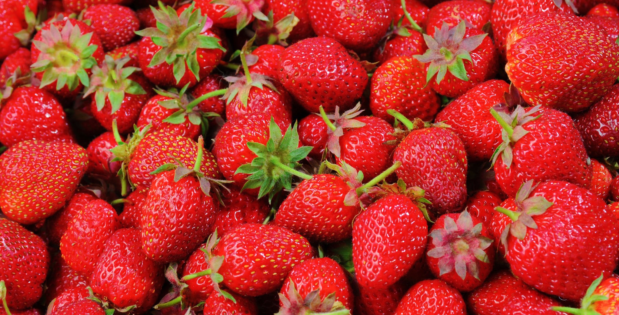 FRUITAGE® ผลไม้ออนไลน์ | ผลไม้ต่างประเทศ ผลไม้นอก Deliveryส่งตรงถึงคุณ